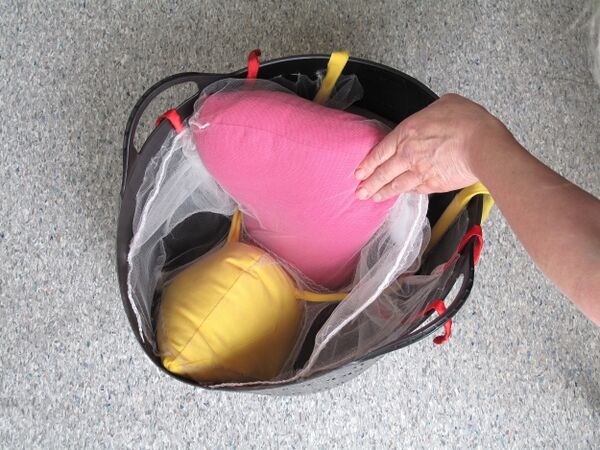 Female Pelvic Peritoneum (in a bucket) - Anatomy Teaching Models