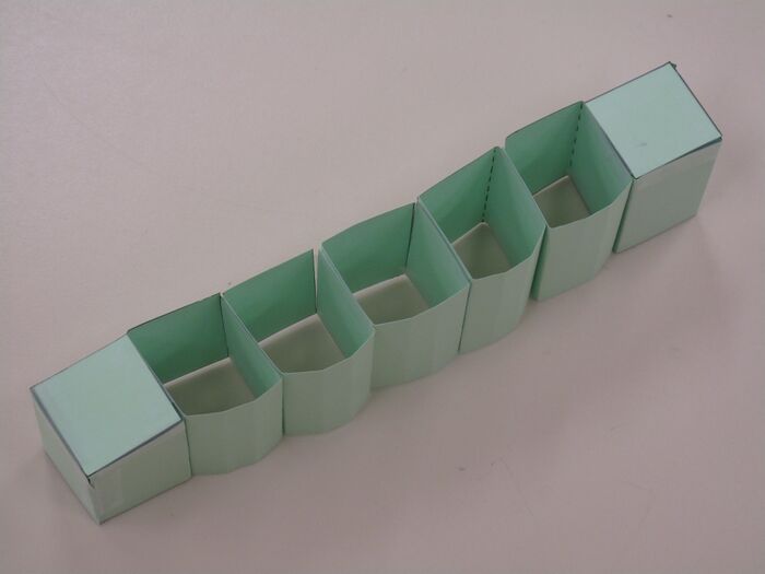 Apical Constriction - Anatomy Teaching Models